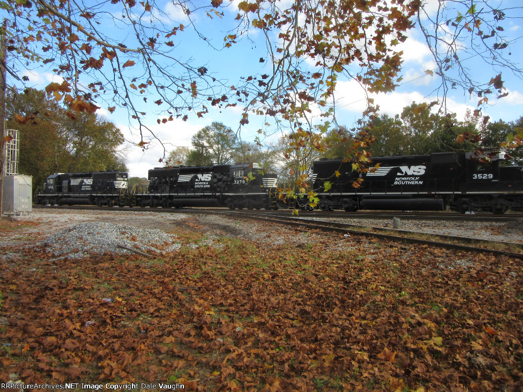 NS 6135 & NS 3279 & NS 3529